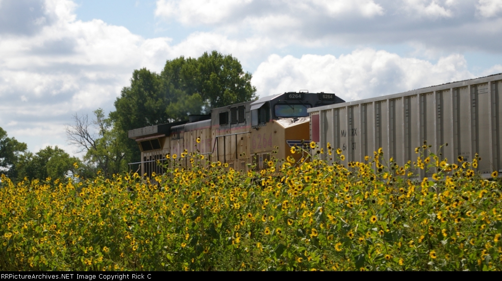 UP 6264 Smells The Flowers
